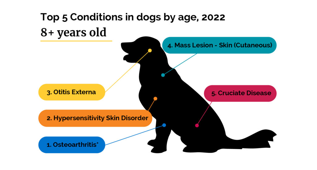 Top 5 conditions in dogs by age | PetSure