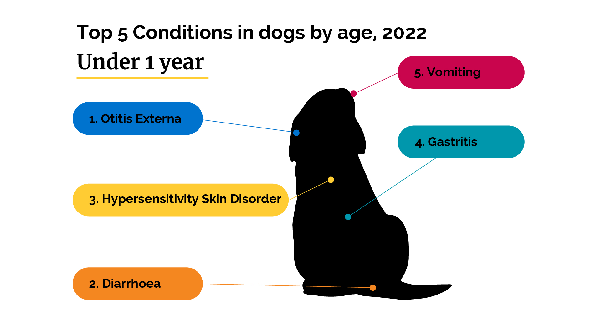 Top 5 conditions in dogs by age | PetSure