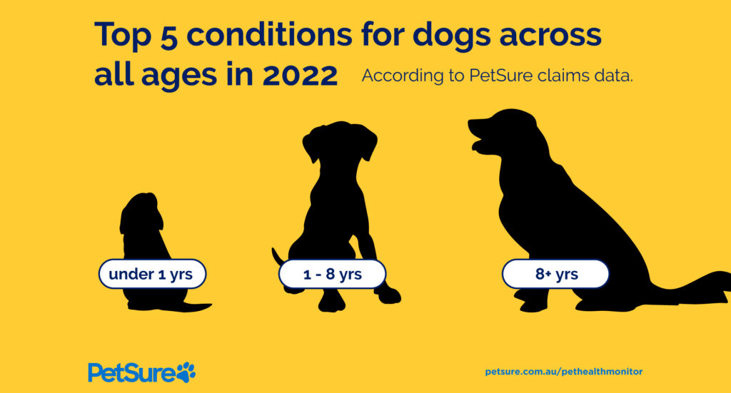 Top 5 conditions in dogs by age | PetSure