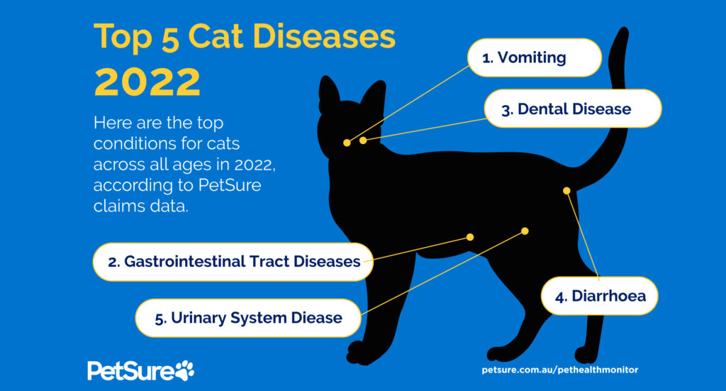 Feline Flu: Understanding Symptoms, Diagnosis, Treatment, and ...