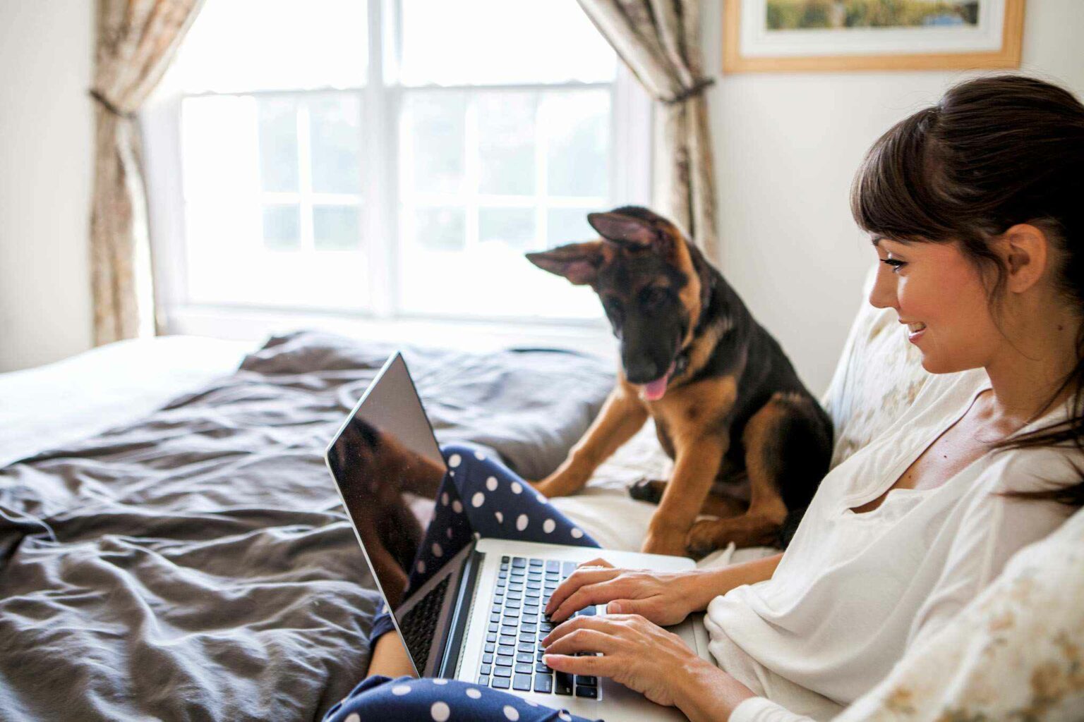 PetSure. For a life with pets